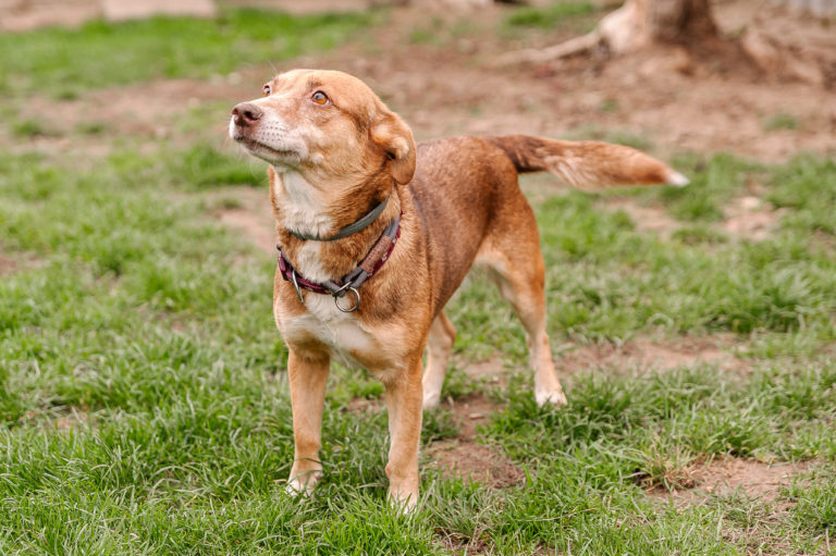 Majda – AKTUALIZACE – Relax Radio